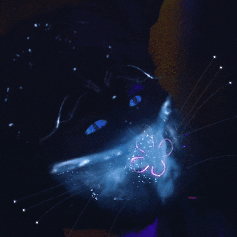Euro Dance Eurodance Techno GIFs - Get the best GIF on GIPHY