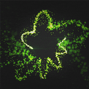 Green GIFs - Find & Share on GIPHY