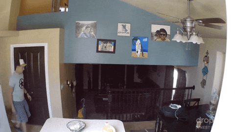 Cat Ceiling Fan Gif | Americanwarmoms.org