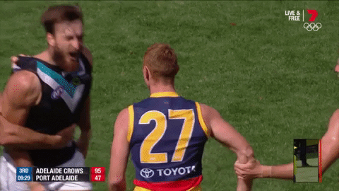 Afl Memories GIF by Adelaide Crows - Find & Share on GIPHY