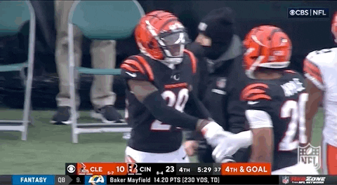Cincinnati Bengals Football GIF by NFL - Find & Share on GIPHY