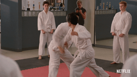 Cobra Kai GIF by NETFLIX - Find & Share on GIPHY