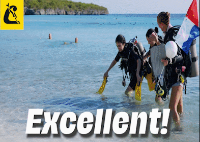 Scubadive GIFs - Get the best GIF on GIPHY