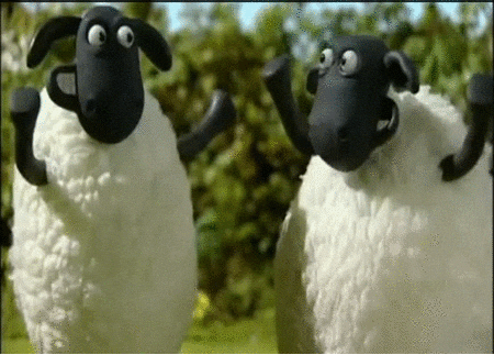 Shawn The Sheep GIFs - Get the best GIF on GIPHY