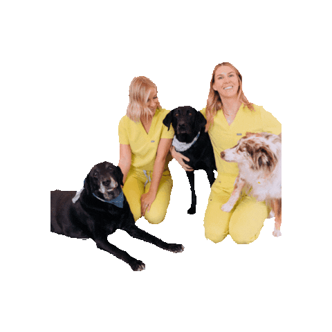 Hi, Finch GIFs on GIPHY - Be Animated