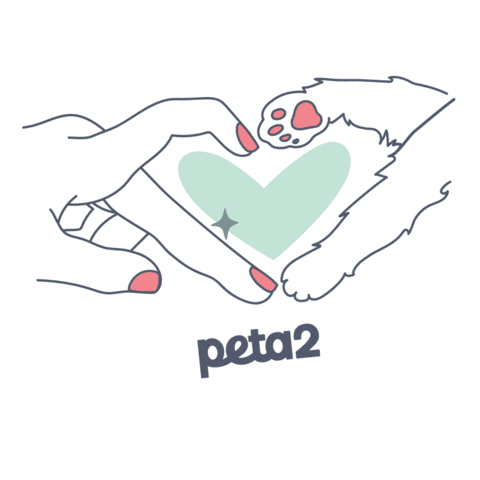 peta2 GIFs on GIPHY - Be Animated