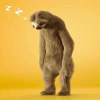 Sloth Gifs