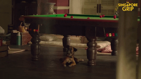 Snooker Table GIFs - Get the best GIF on GIPHY