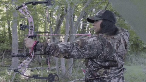 Archery Gif