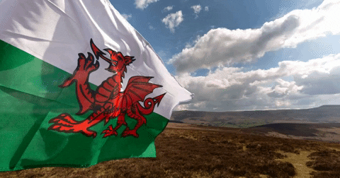 Welsh Flag Animation