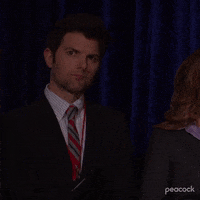 Parks And Recreation Ben Gif