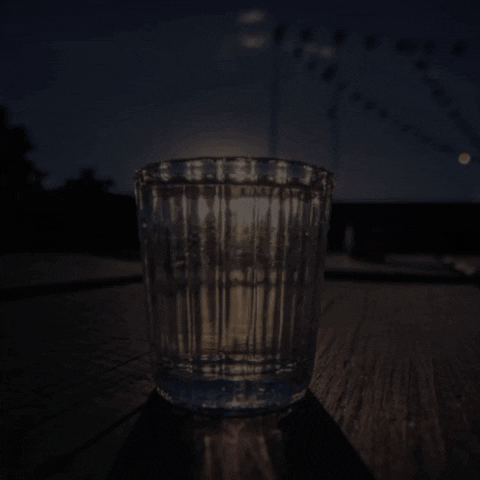 Neon Oaxaca GIF by Mezcal Ictuz - Find & Share on GIPHY