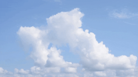 Maritimo GIFs - Get the best GIF on GIPHY