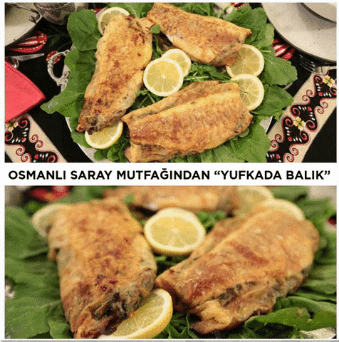 Ground Meat GIFs - Find & Share on GIPHY